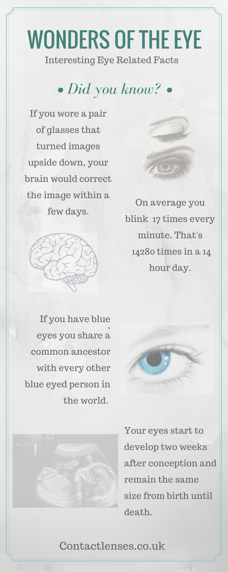 24 Interesting Eye Facts :: Eye Health Central