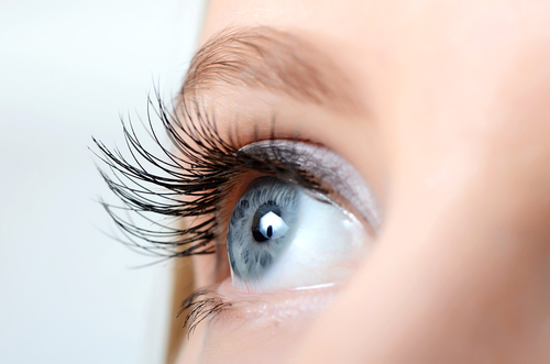24 Interesting Eye Facts :: Eye Health Central